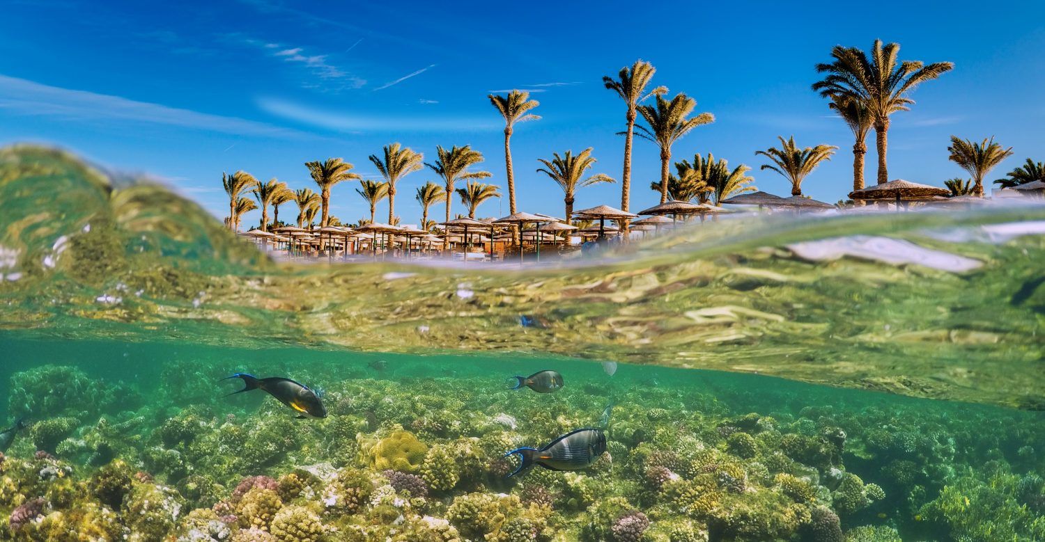 5 Reasons to Visit the Red Sea After the Lock-down